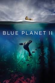 Our Blue Planet: Incredible Ocean Stories & Visuals | BBC Earth