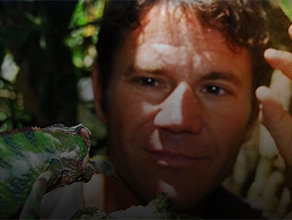 Deadly 60 | BBC Earth