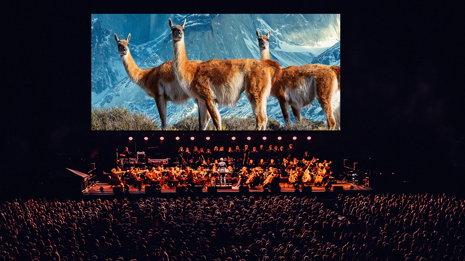 Experiences & Live Shows: 4D Films & Attractions | BBC Earth