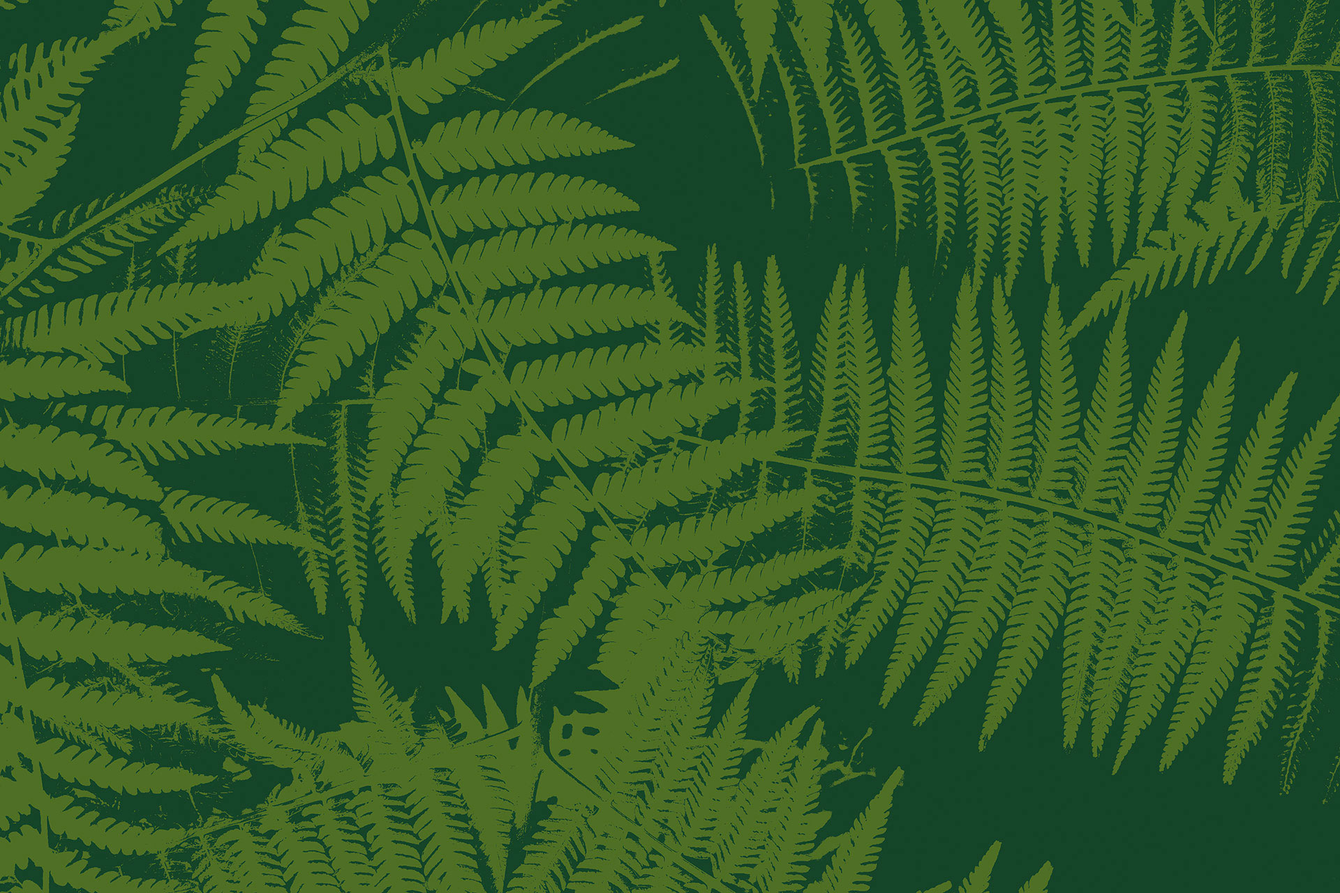 Will you be top of the class? | BBC Earth