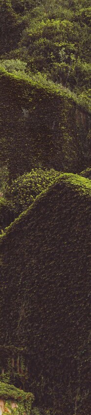The Abandoned Places That Nature Has Reclaimed BBC Earth The Abandoned Places That Nature Has Reclaimed BBC Earth