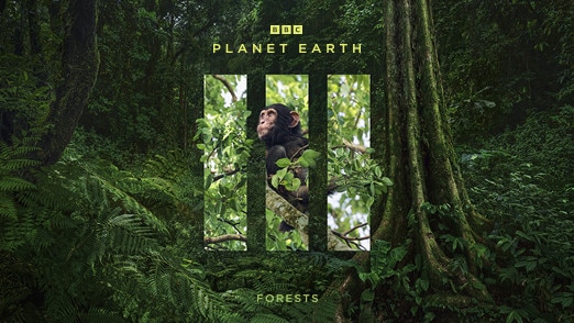 Planet Earth III |OT| The groundbreaking nature documentary series ...