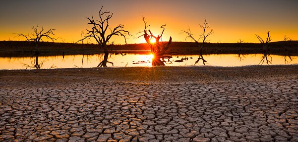Expecting in Extreme Heat: The Climate Risk to Pregnancy | BBC Earth