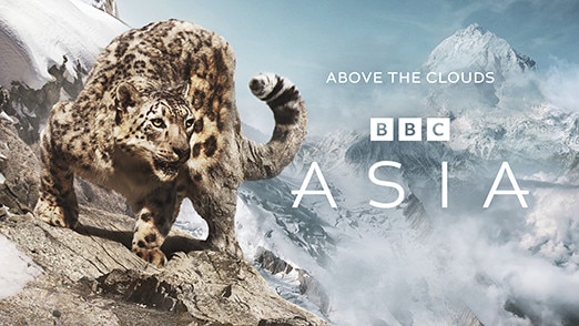BBC Series Asia | BBC Earth