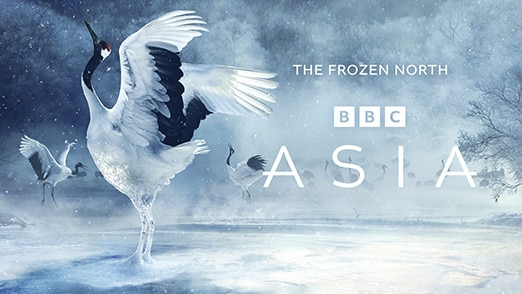BBC Series Asia | BBC Earth