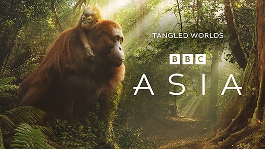 BBC Series Asia | BBC Earth