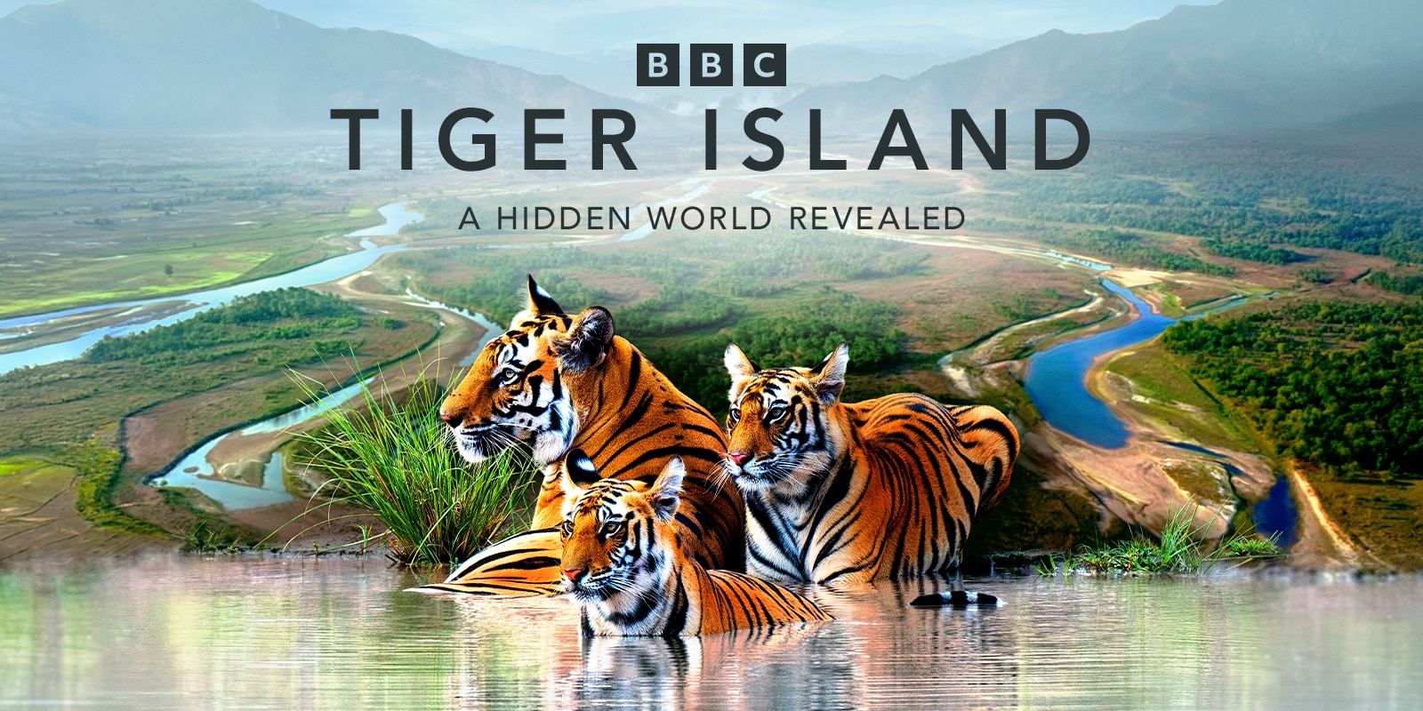 Tiger Island | BBC Earth