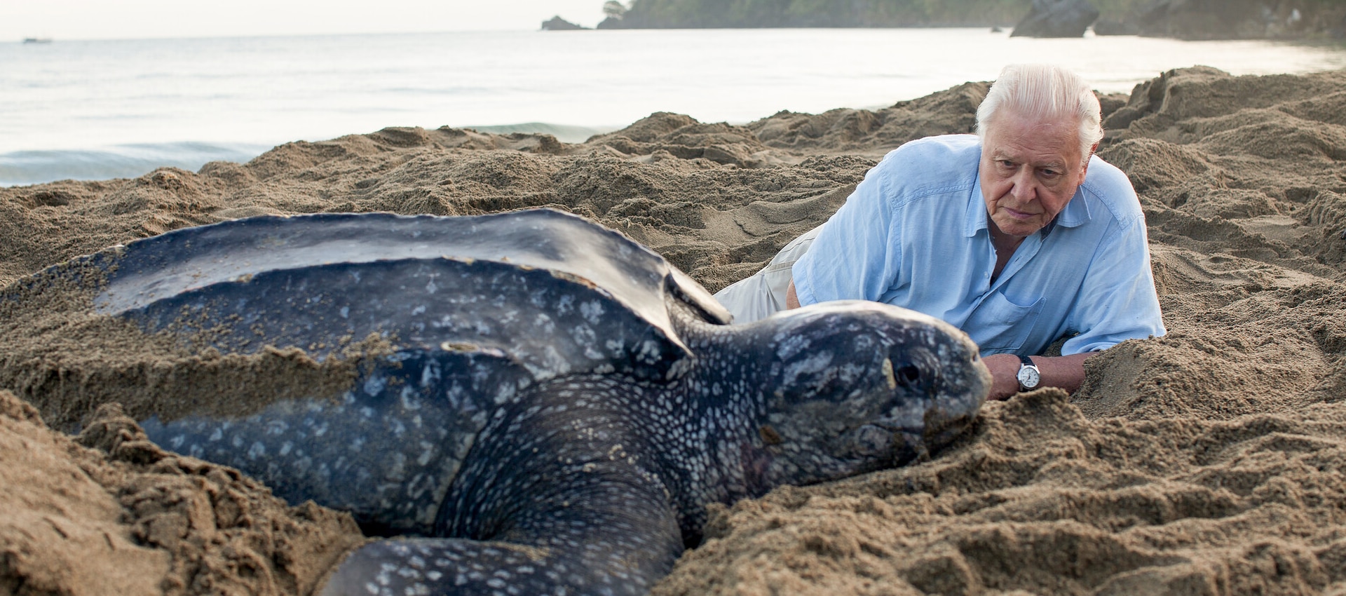 BBC Earth | Home